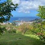 Grenada: Spice and Herb Garden Tour with Beach Visit - What travelers are saying