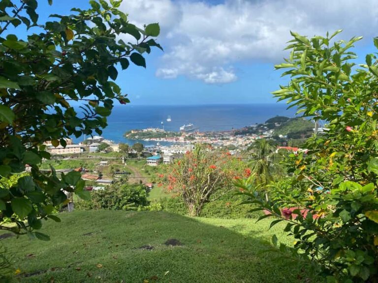 Grenada: Spice and Herb Garden Tour with Beach Visit - What travelers are saying