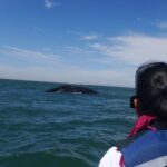 Grey whale watching in Puerto Chale, Mexico - Transportation and Group Size