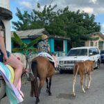 Gros Islet Village Horseback Riding run with Dore's riding Stable - Practical Details You Should Know