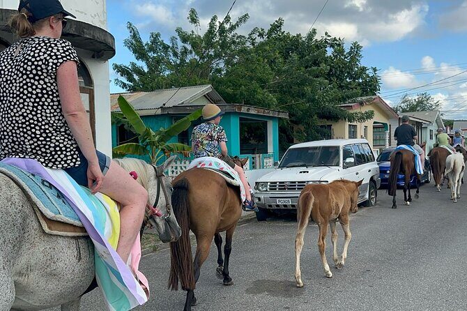 Gros Islet Village Horseback Riding run with Dore's riding Stable - Practical Details You Should Know