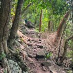 Gros Piton Adventure with Tour For The Day - What’s Included and What’s Not