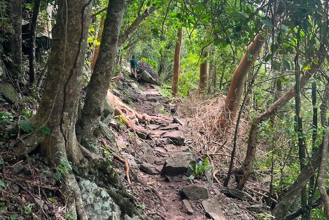 Gros Piton Adventure with Tour For The Day - What’s Included and What’s Not