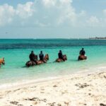 Group Beach and Ocean Horseback Adventure in Providenciales - FAQ
