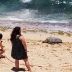 Group priced Food Distillery Brewery half island private tour - An In-Depth Look at the Itinerary Options