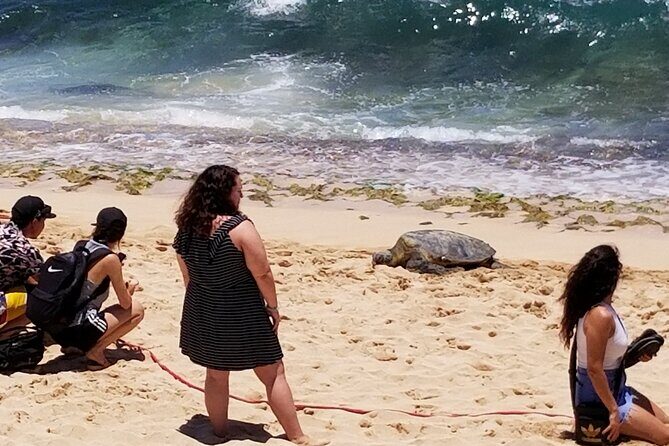 Group priced Food Distillery Brewery half island private tour - An In-Depth Look at the Itinerary Options