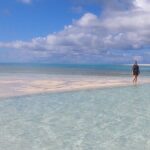 Group Reef, Beach and Sandbar Tour from Providenciales - Authentic Experiences and Practical Details