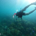 [GROUP] SCUBA DIVING for Certified Divers in Phu Quoc Island - What Makes This Tour Stand Out?