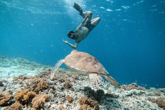 Group Snorkeling Tour Gili Islands Including GoPro Documentation - Who Will Love This Tour?
