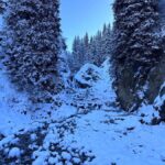 Group Tour: Big Almaty Gorge (Ayusai, Almarasan, Park) - An In-Depth Look at the Big Almaty Gorge Tour