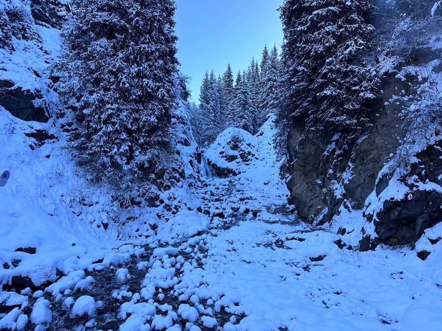 Group Tour: Big Almaty Gorge (Ayusai, Almarasan, Park) - An In-Depth Look at the Big Almaty Gorge Tour