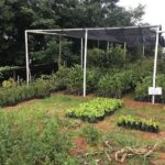 Group Tour of Nature Park - What to Expect on Your Tour