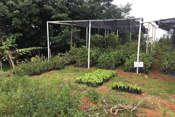 Group Tour of Nature Park - What to Expect on Your Tour