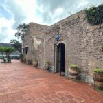 Guadalajara: Secrets of the Highlands Tequila Route - What to Expect: A Day of Discovery and Flavor