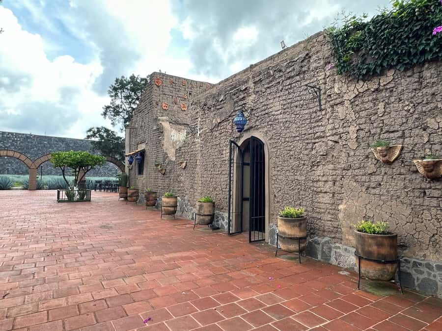 Guadalajara: Secrets of the Highlands Tequila Route - What to Expect: A Day of Discovery and Flavor