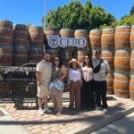 Guadalupe Valley Wine Route - Who Is This Tour Best For?
