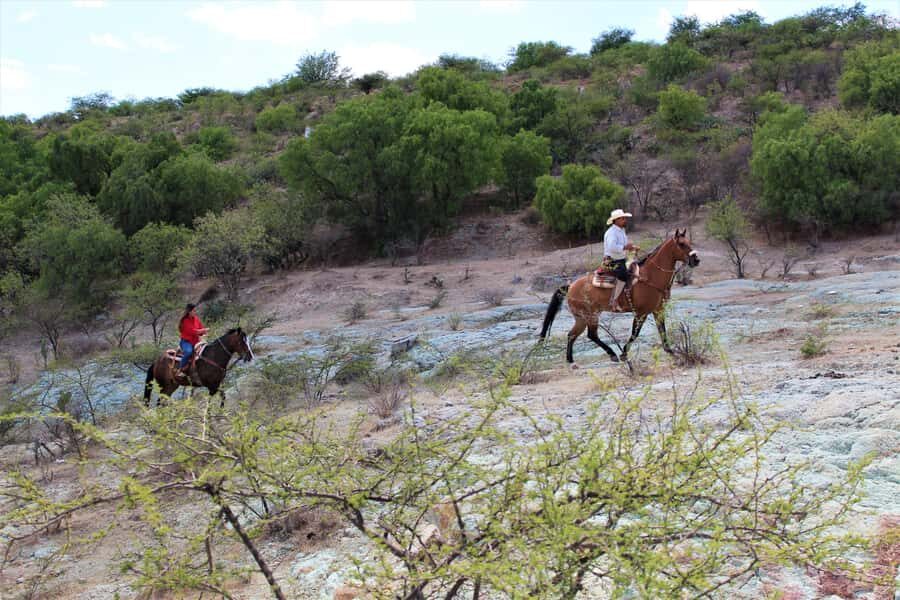 Guanajuato: horse ride tour - Why This Tour Is Worth It