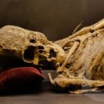 Guanajuato: Mummies, Mines and Tunnels Guided Group Tour - In-Depth Itinerary Breakdown