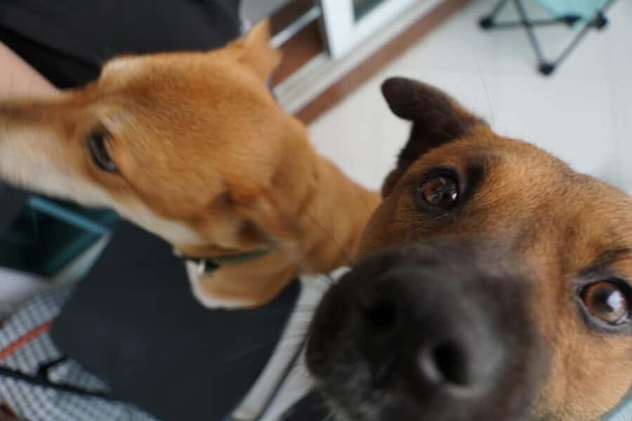 Guangzhou: 3-Day Local Experience with Host - How the Itinerary Breaks Down