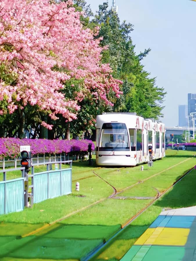 Guangzhou Day Tour: Trolley, Glass Museum & Night Cruise - Immersive Art at the Glass Museum