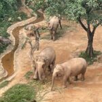 Guangzhou Private Safari Tour with Ride - Detailed Itinerary Breakdown