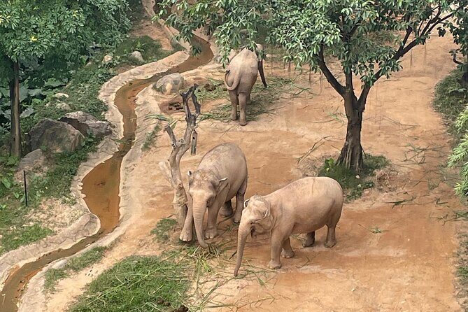 Guangzhou Private Safari Tour with Ride - Detailed Itinerary Breakdown