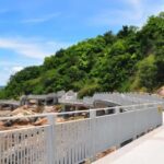 Guangzhou to Shenzhen 1 day Tour: Explore Coastal Wonders - What’s the Experience Like?