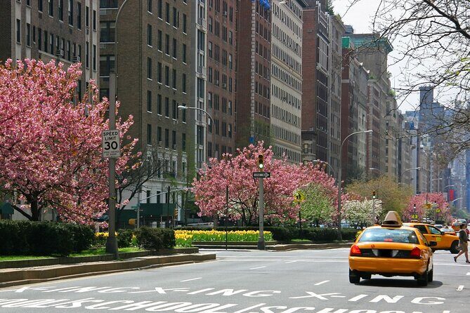 Guggenheim Ticket and Audio Tour with Carnegie Hill Walk - Discovering the Guggenheim: An Architectural Icon with a World-Class Collection