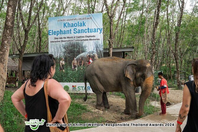 Guide Tour to Khaolak Elephant Sanctuary in Small Group - The Sum Up