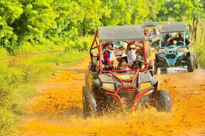 Guided Buggy Tour of Punta Cana - What Past Travelers Say