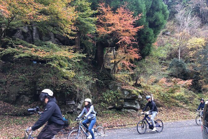 Guided e-Bike Tours in Bungoono City - The Itinerary: What to Expect