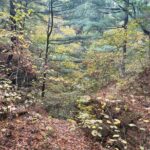 Guided Hike at Starved Rock and Matthiessen Park - Practical Details and Tips