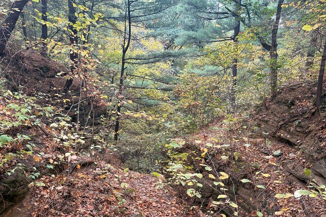 Guided Hike at Starved Rock and Matthiessen Park - Practical Details and Tips