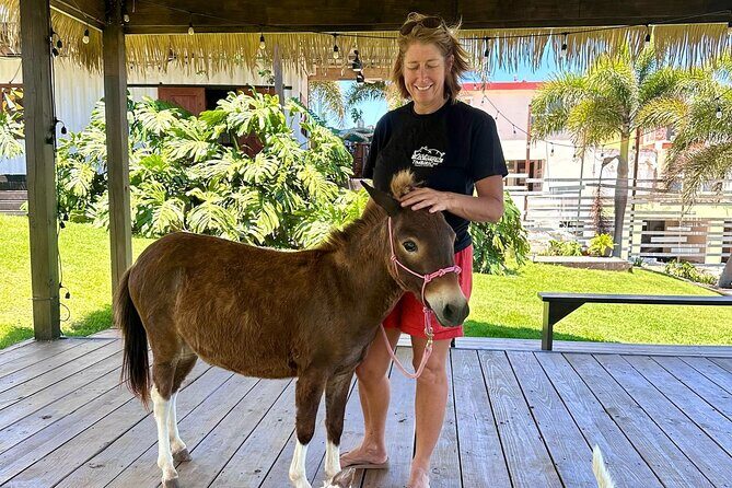 Guided Hike with Miniature Donkeys to a Secluded Beach - Practical Details and Value