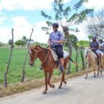 Guided Horseback Ride On The Beach With Pickup From Punta Cana - What the Tour Includes and How It Adds Value