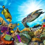 Guided Kayak Tour from Elysian - Who Will Enjoy This Tour?