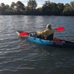 Guided Kayak Tour of Crystal Rivers Springs and Wildlife - Why Travelers Love This Experience