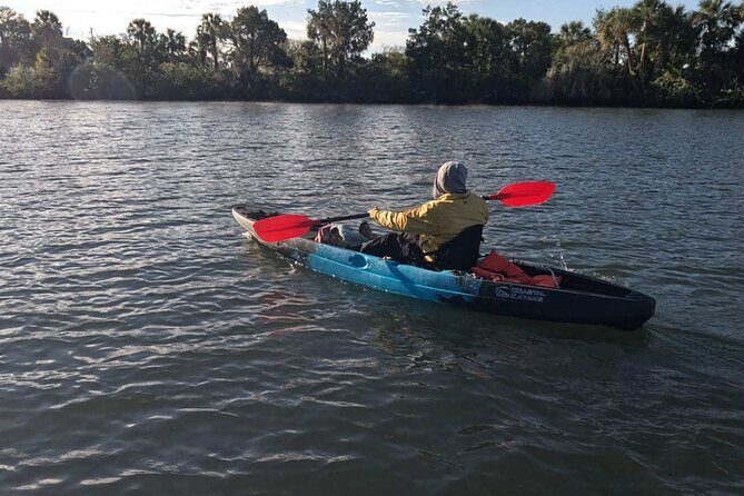 Guided Kayak Tour of Crystal Rivers Springs and Wildlife - Why Travelers Love This Experience