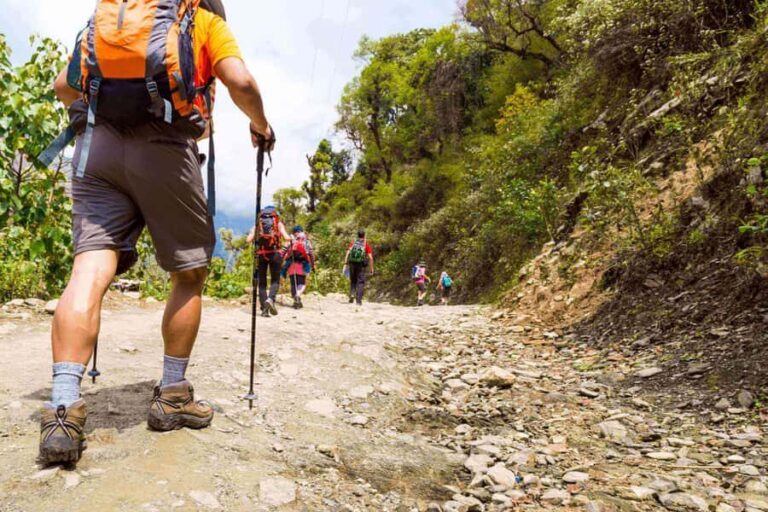 Guided Lama Dugh Hike in Manali - The Itinerary in Detail