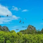 Guided Langkawi Sunset Kayaking Adventures With Hotel Transfers - Final Thoughts