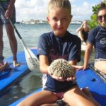 Guided paddleboarding (SUP) mangrove ECO tour for beginners - Who Will Love This Tour?