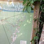 Guided Primeval Nature Walk Tour in Primeval Forest National Park - Authentic Experiences and Authentic Guides