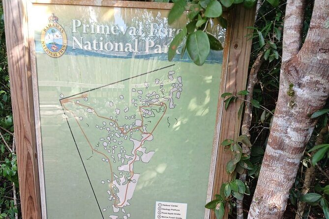 Guided Primeval Nature Walk Tour in Primeval Forest National Park - Authentic Experiences and Authentic Guides