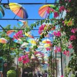 Guided Puerto Plata City Tour - Practical Details and Experience