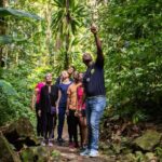 Guided Rainforest Hike on the Jacquot Trail  Castries, St Lucia - Practical Tips for Participants