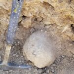 Guided Rock Collecting Tour with a Geologist near Salt Lake City - What’s Included and What’s Not