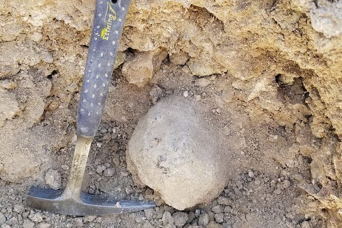 Guided Rock Collecting Tour with a Geologist near Salt Lake City - What’s Included and What’s Not