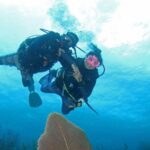 Guided Shore Dive for Certified Divers with Scubaçao (1 tank) - Who Would Enjoy This?