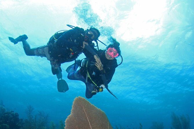 Guided Shore Dive for Certified Divers with Scubaçao (1 tank) - Who Would Enjoy This?