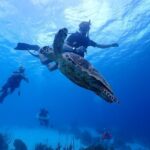 guided Shore Diving in Bonaire Marine Park with 2 Dives - The Dive Experience: What Makes it Special